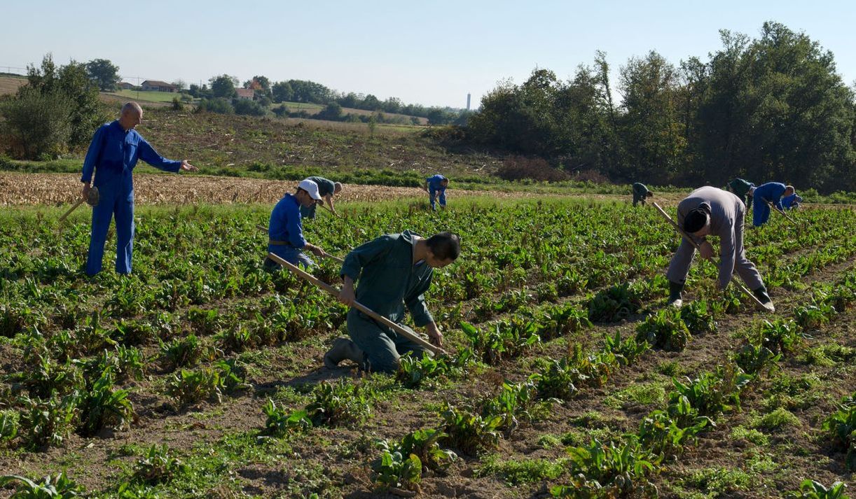 Travail manuel - Abbaye Notre-Dame de Maylis