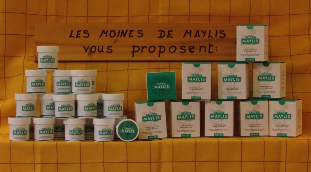 Plante de Maylis - Abbaye Notre-Dame de Maylis